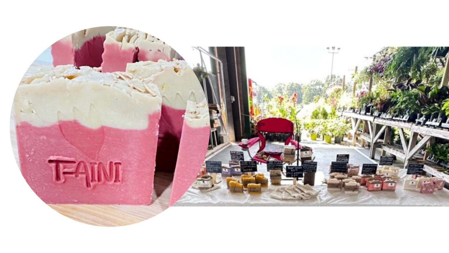 Client Spotlight: Taini Soap Company - Prospera